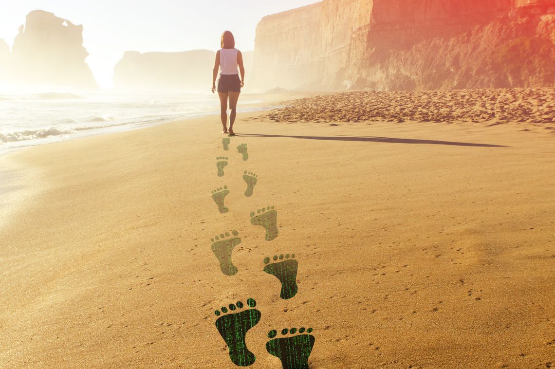 6 ways to reduce your digital footprint - The Parallax