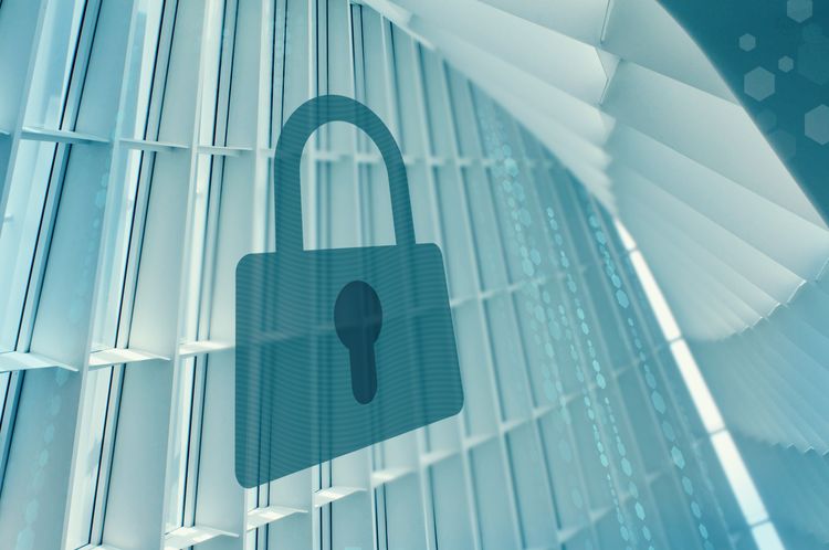 How one woman protects almost the whole Internet (Q&A) - The Parallax