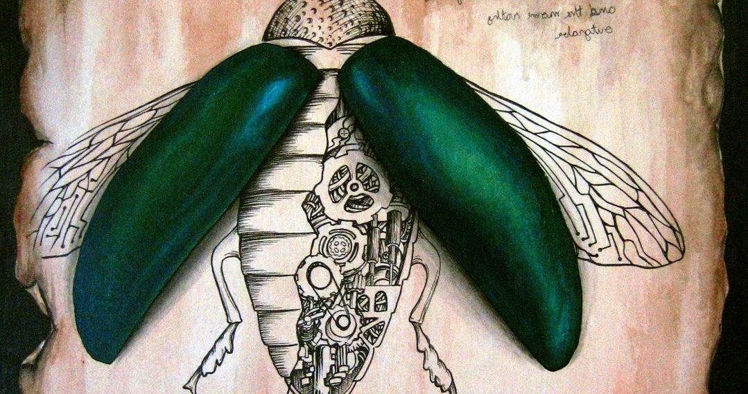 The dark side of bug bounties - The Parallax